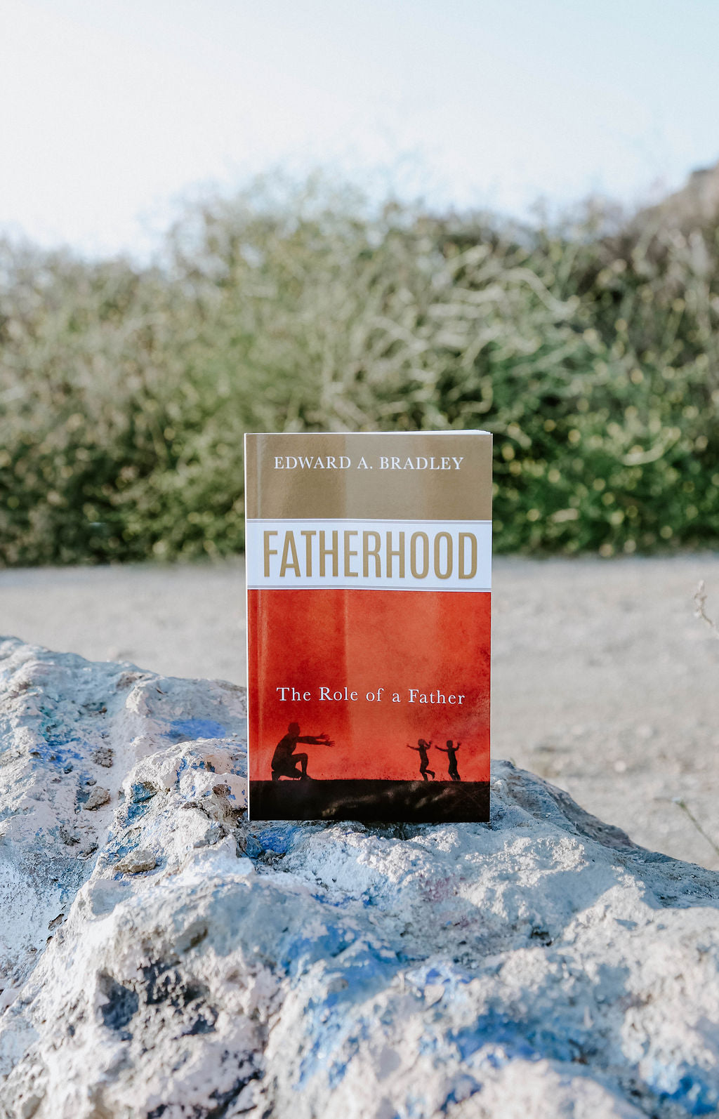 Fatherhood “The Role of A Father” by Edward A. Bradley – Fatherhood Book